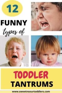 The 12 Hilarious Causes of Toddler Tantrums - Sweet n Sour Toddlers
